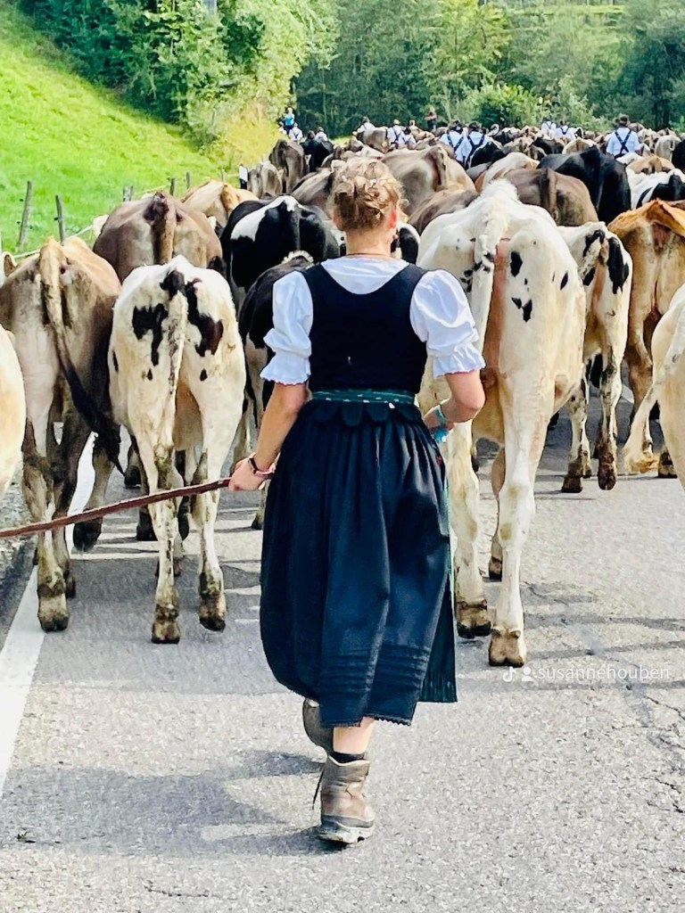 Almabtrieb: A Celebration of Alpine Traditions • European Cuisine ...